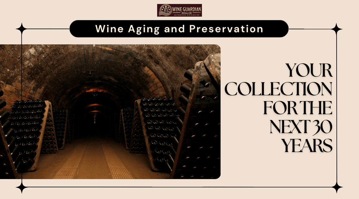 Wine Aging & Preservation Guide | Protect Your Collection 30+ Years ...